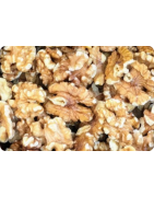 Walnoten kopen? Verse & gezonde keuze. Dagvers geleverd