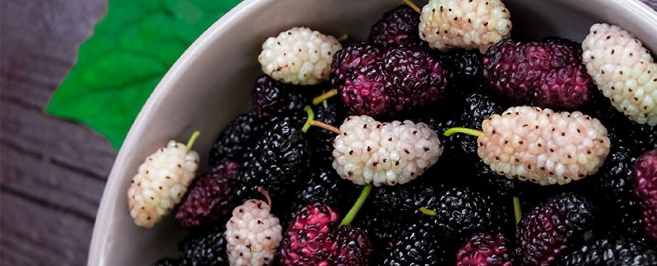 Moerbeibessen zijn met recht een superfood te noemen